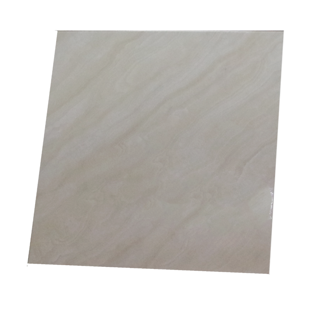 GoodWill Floor Tiles Gloss | Cheap General Hardware Ltd